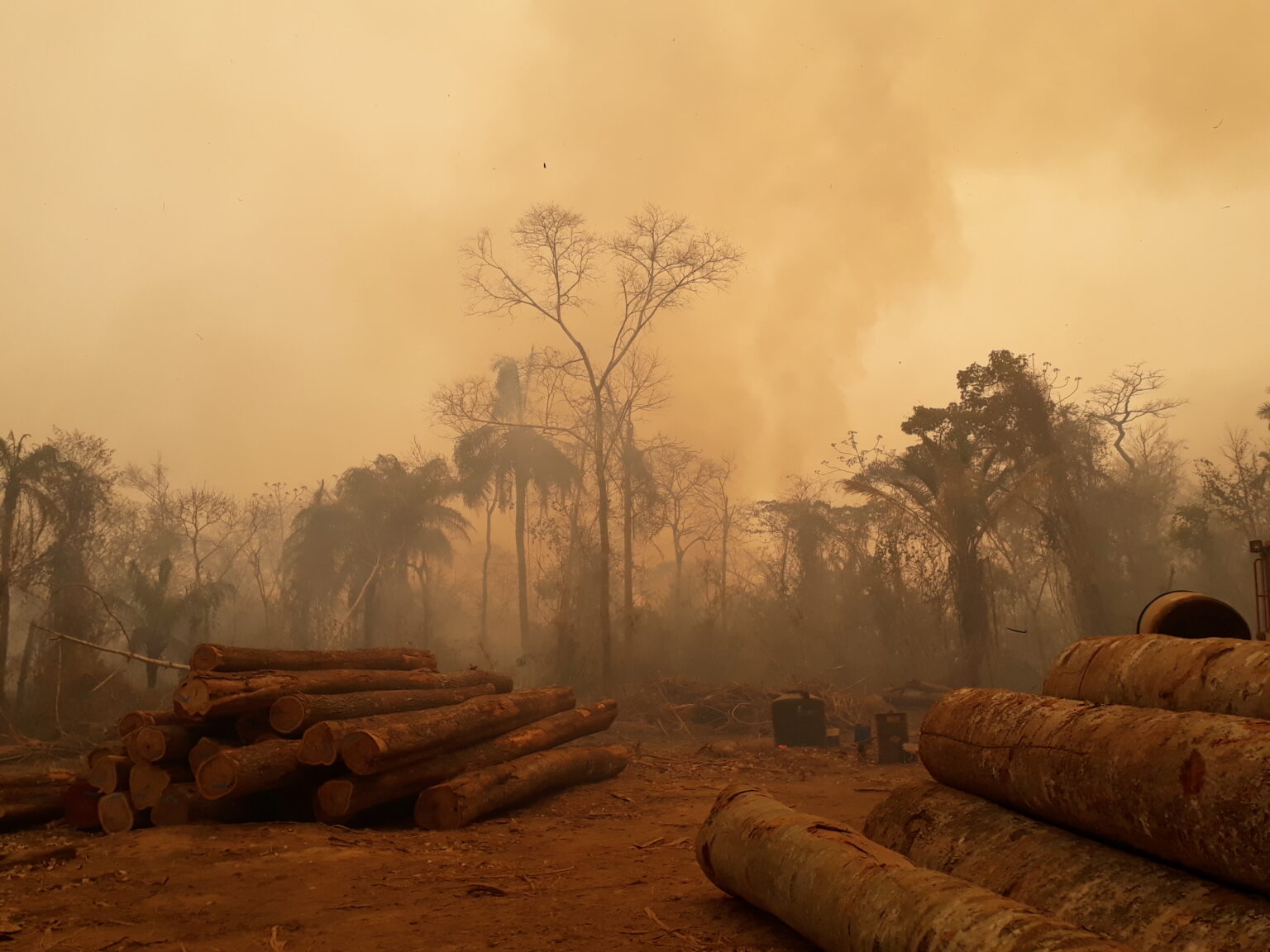 El fuego, el Bosque Chiquitano, y la participación comunitaria ...